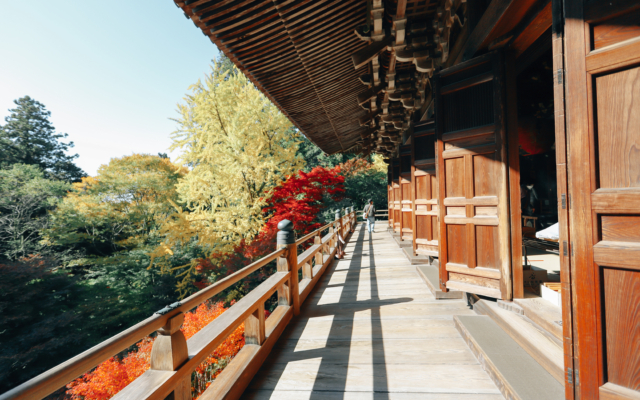 Shoshazan Engyo-ji Temple | Qué ver | Visit Himeji Official Travel Guide