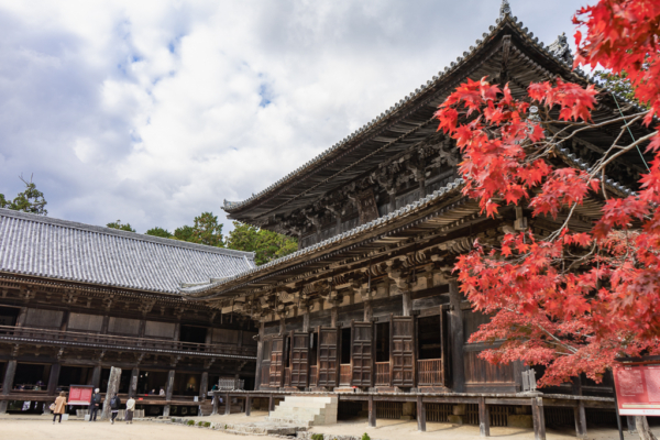 Featured in The Last Samurai! Shoshazan Engyoji Temple in Himeji | Trip ...