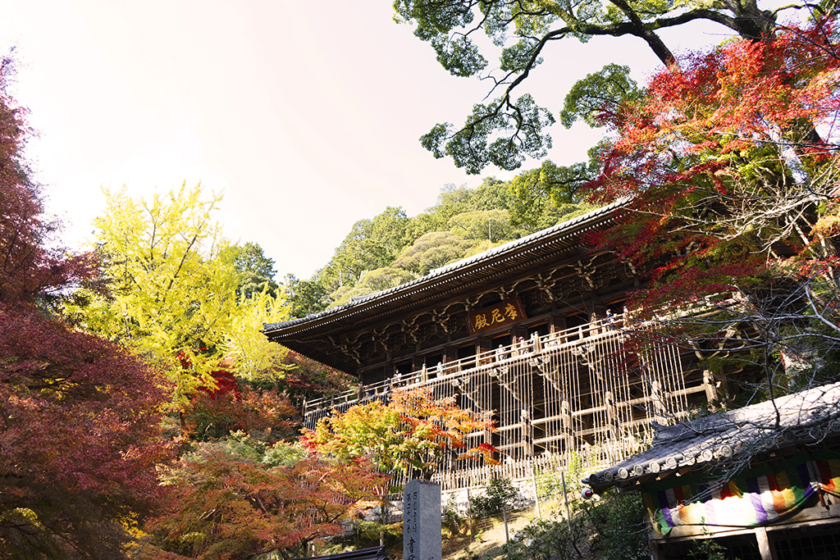 Featured in The Last Samurai! Shoshazan Engyoji Temple in Himeji | Trip ...