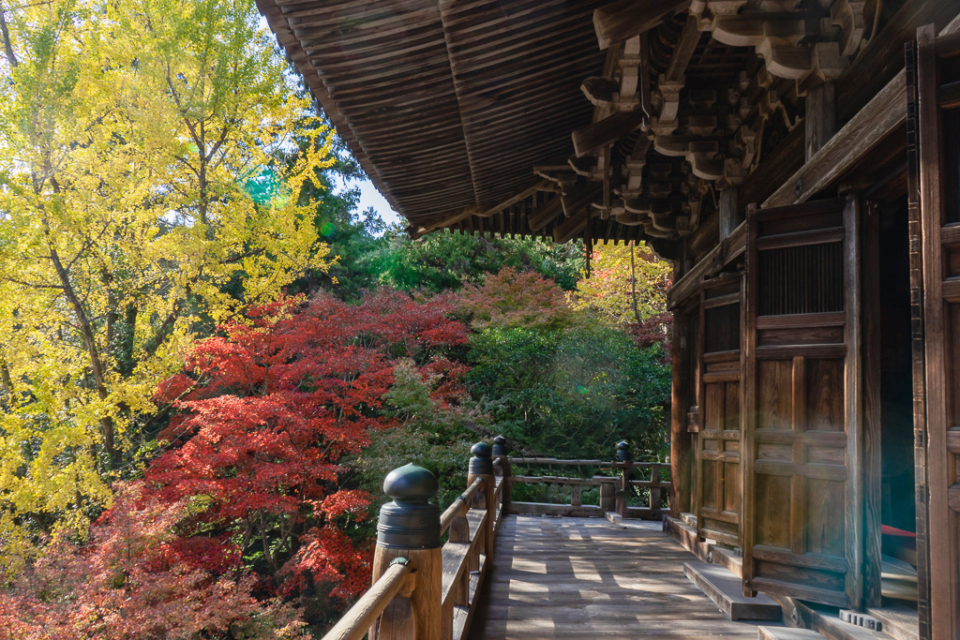 Featured in The Last Samurai! Shoshazan Engyoji Temple in Himeji | Trip ...